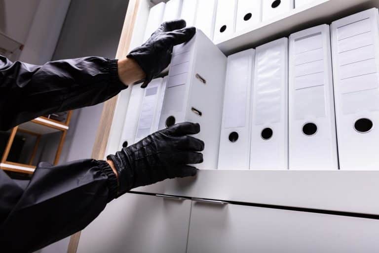 Industriespionage – Gesetzliche Aspekte in Deutschland und der EU ...